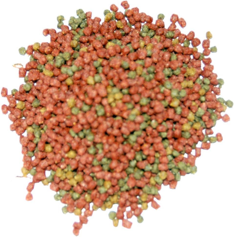 Buy Lucky Reptile Turtle Mix Adult 600g Premium Pellet Food for Water ...