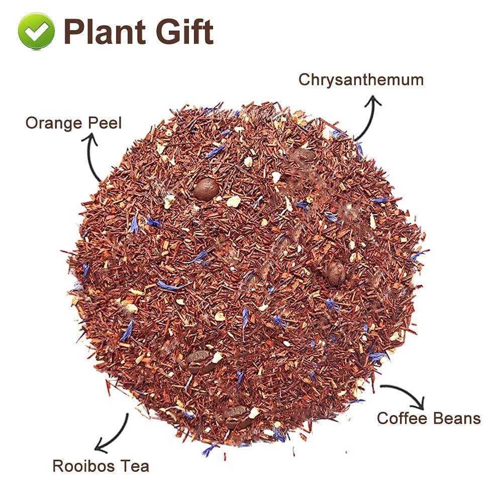 Plant Poison Vanilla Latte Rooibos Tea | Loose Leaf Blend with ...