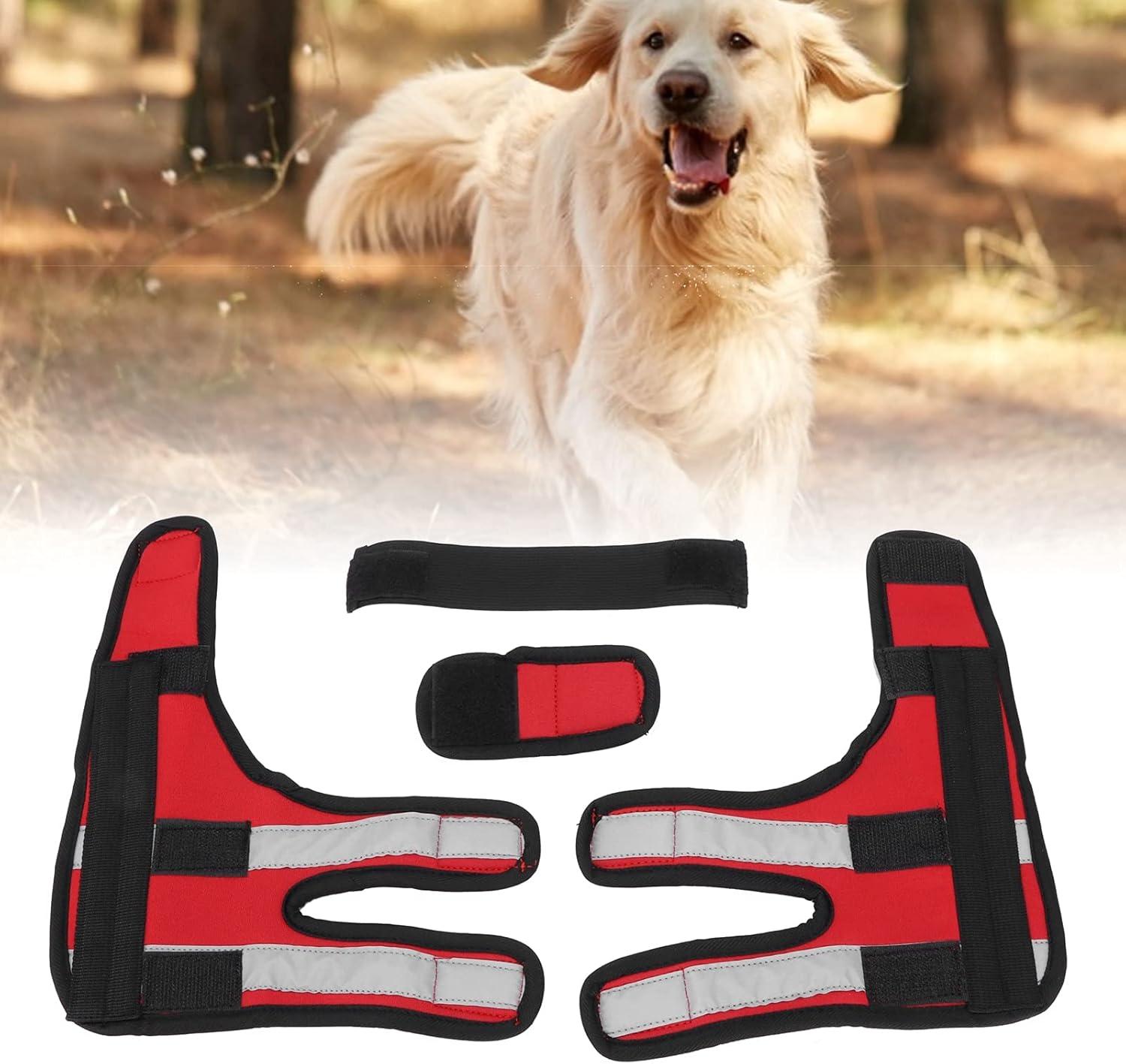Dog Front Leg Protector 1 Pair Dog Front Leg Braces Wrist Guard for ...