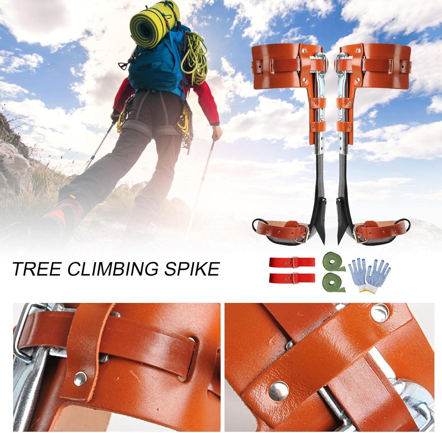 Buy Tree Climbing Equipment Set - Widened & Thickened Crampons ...