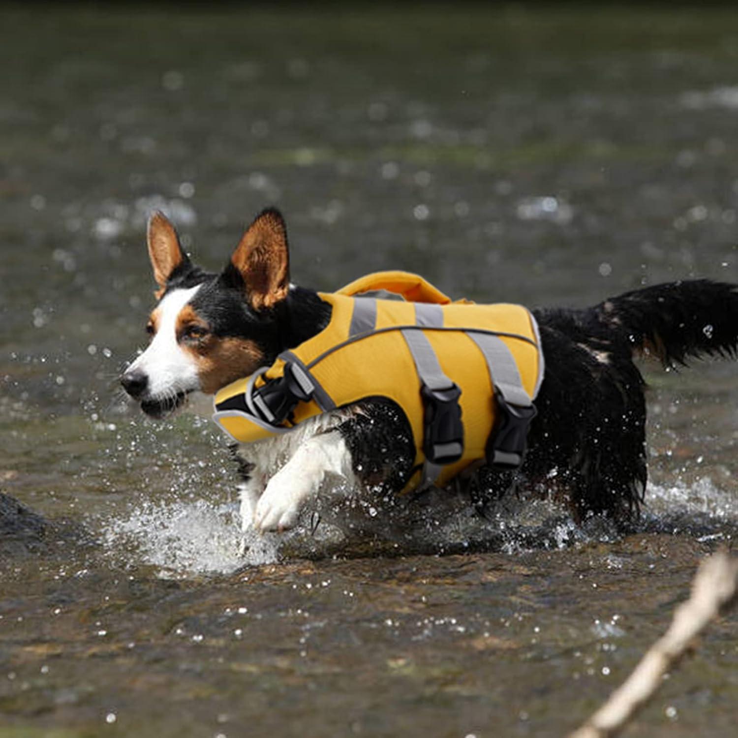 Premium Dog Life Vest & Bathing Suit - Reflective Adjustable Ripstop ...