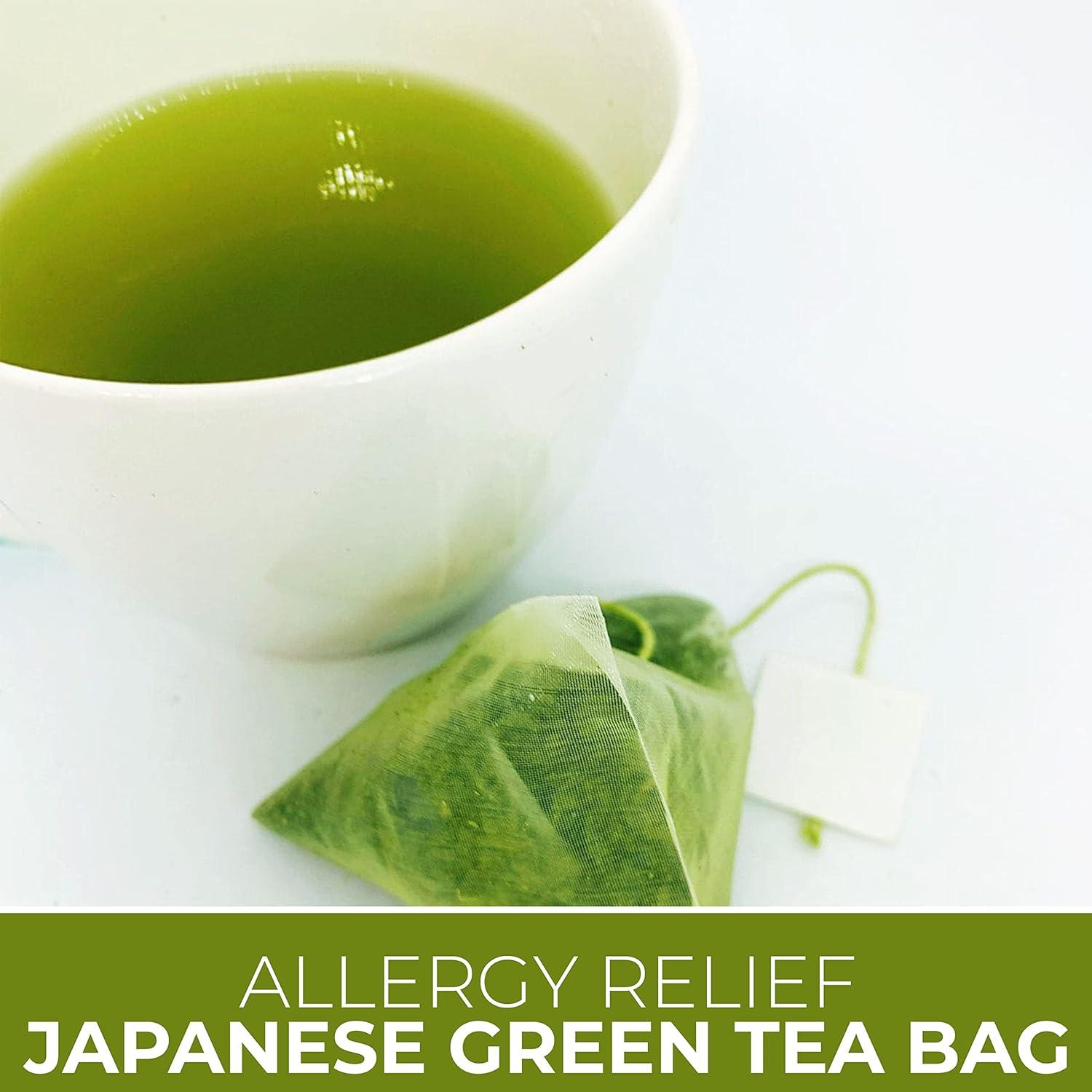 Benifuuki Japanese Green Tea 30 x Green Tea Bag Bundle for Ultimate ...