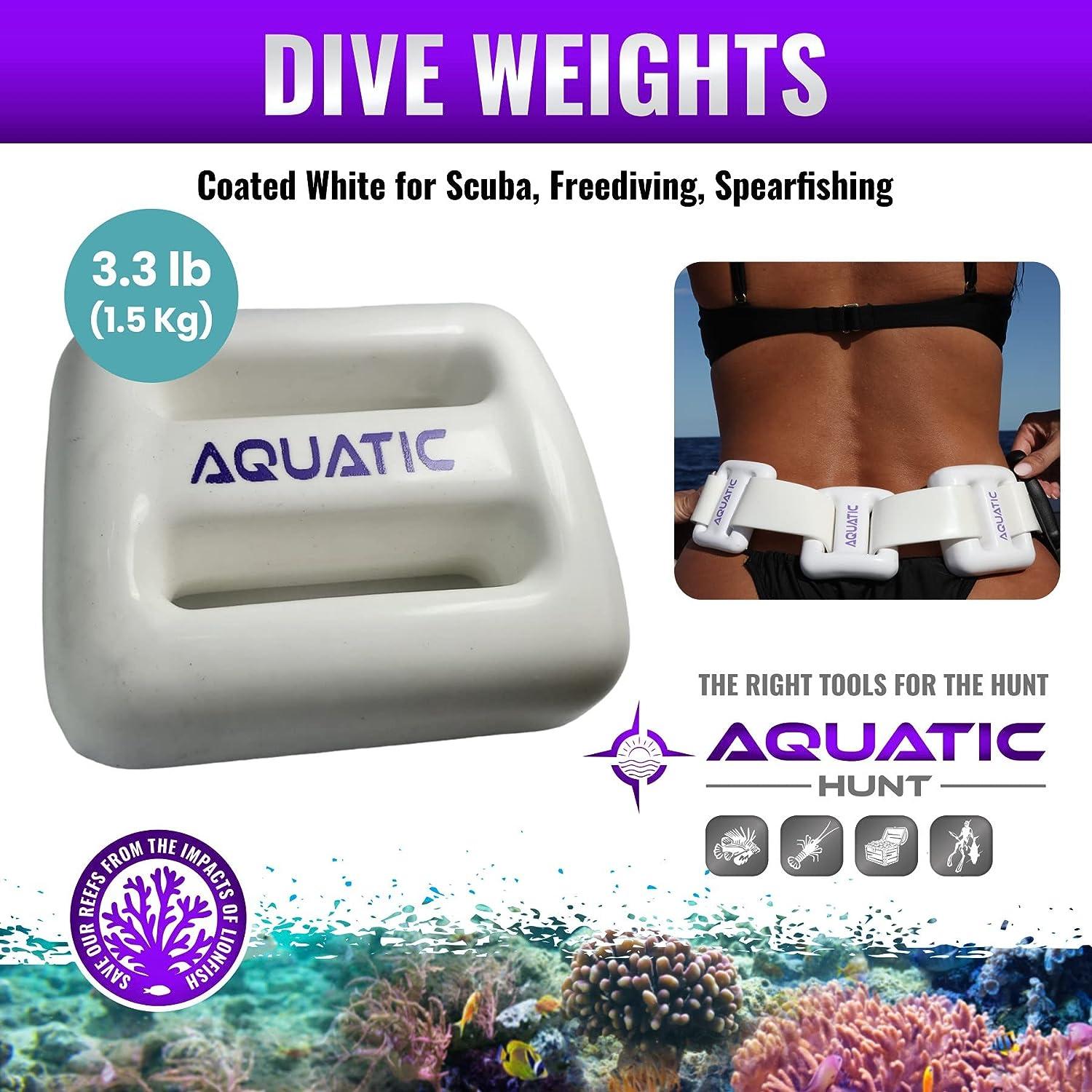 Lb Dive Weight