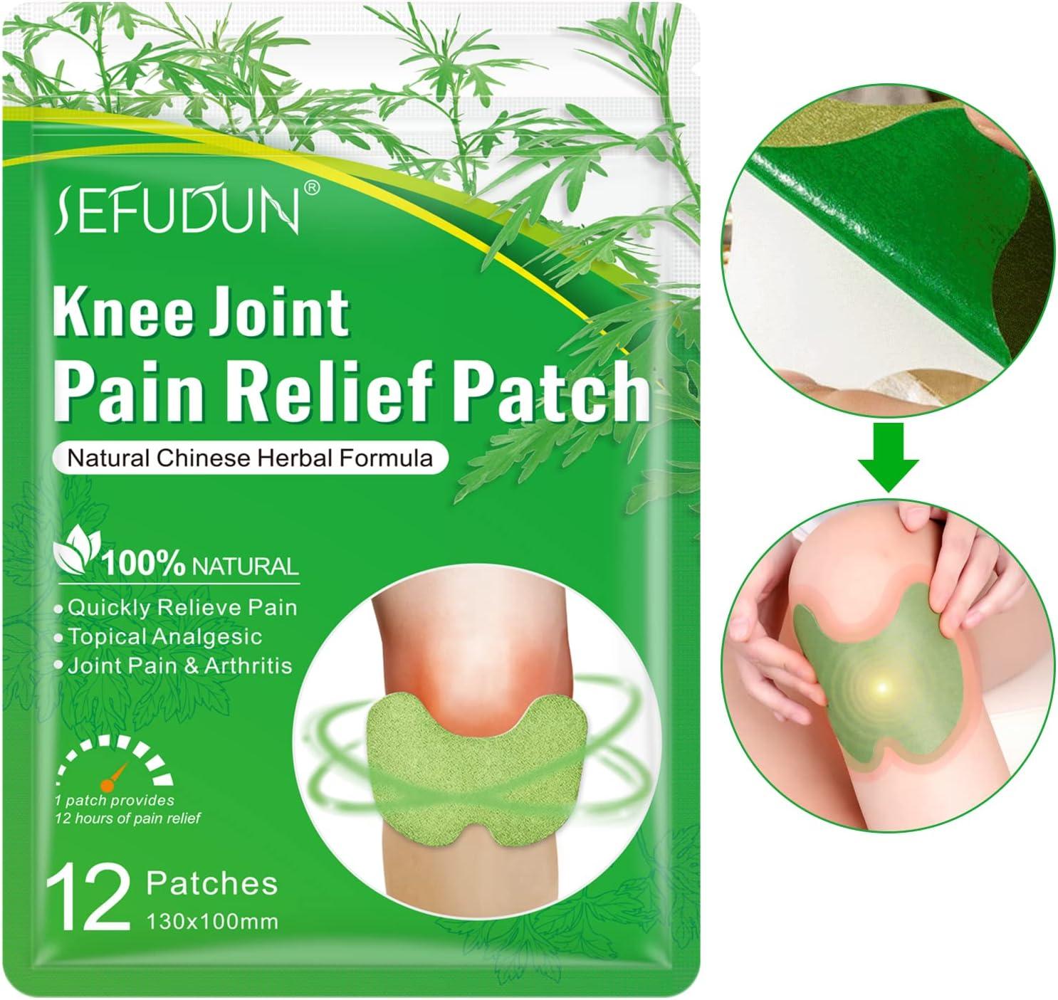 Pain Relieving Joint Plaster - 24PCS Natural Wormwood Stickers for Neck ...