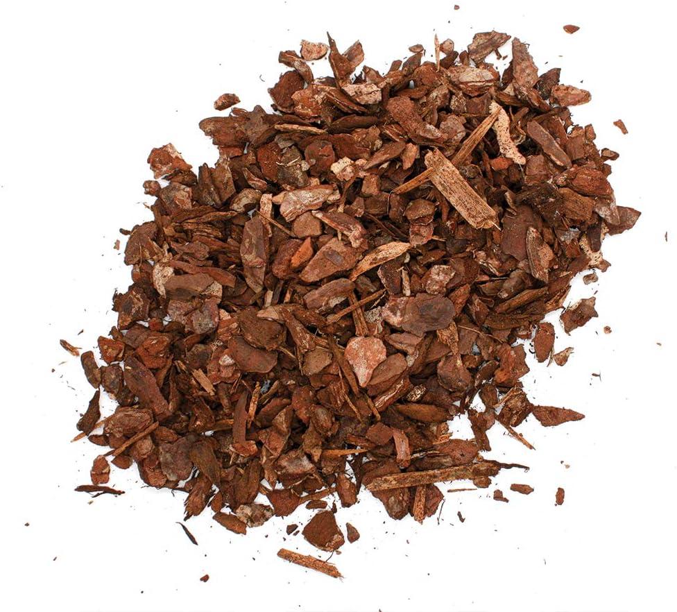 Komodo Forest Terrain Orchid Bark Fine Chips 6 Litre 6 l (Pack of 1) 6 ...