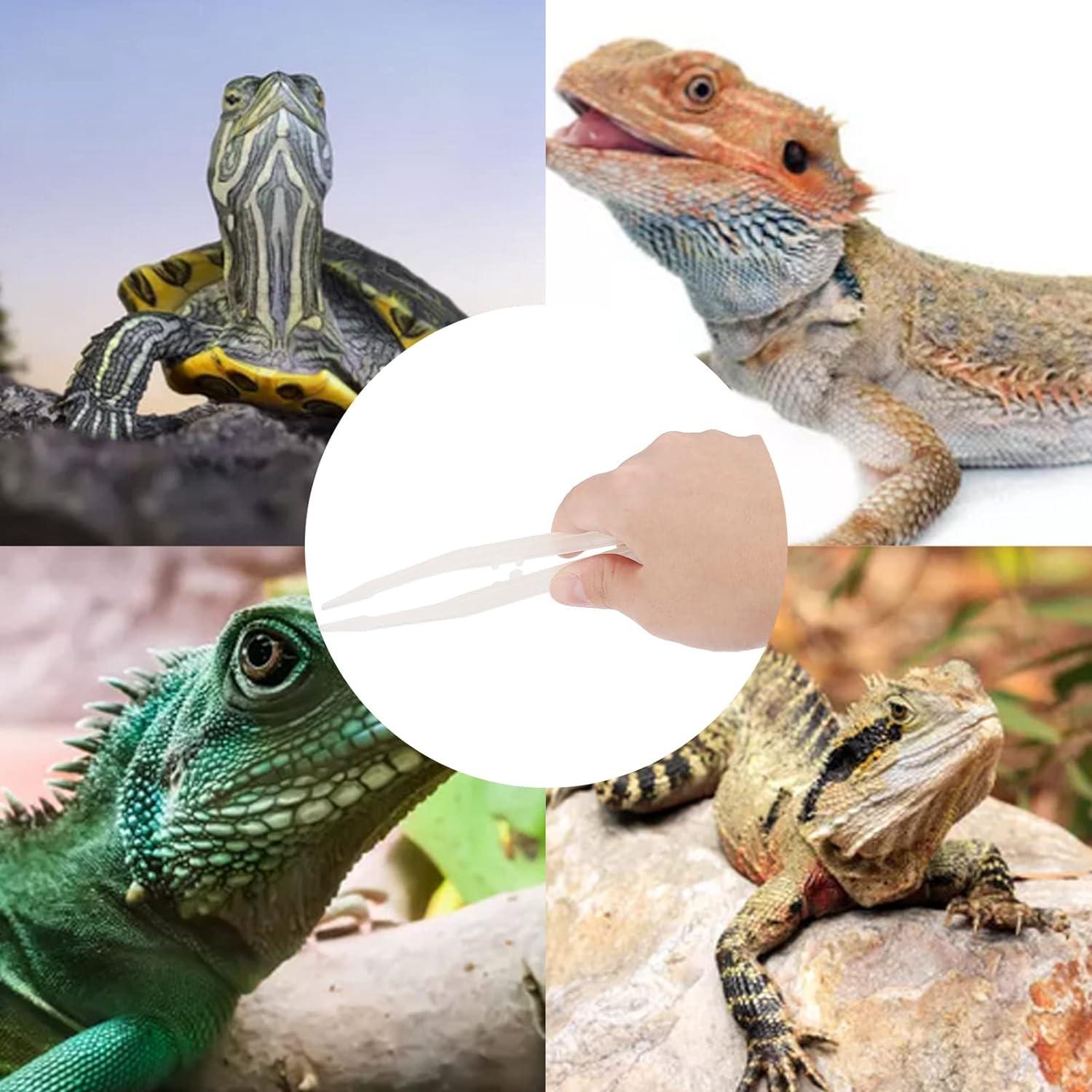 Sheens Reptiles Feeder Tweezers Plastic Anti-Slip Reptile Feeding Long ...