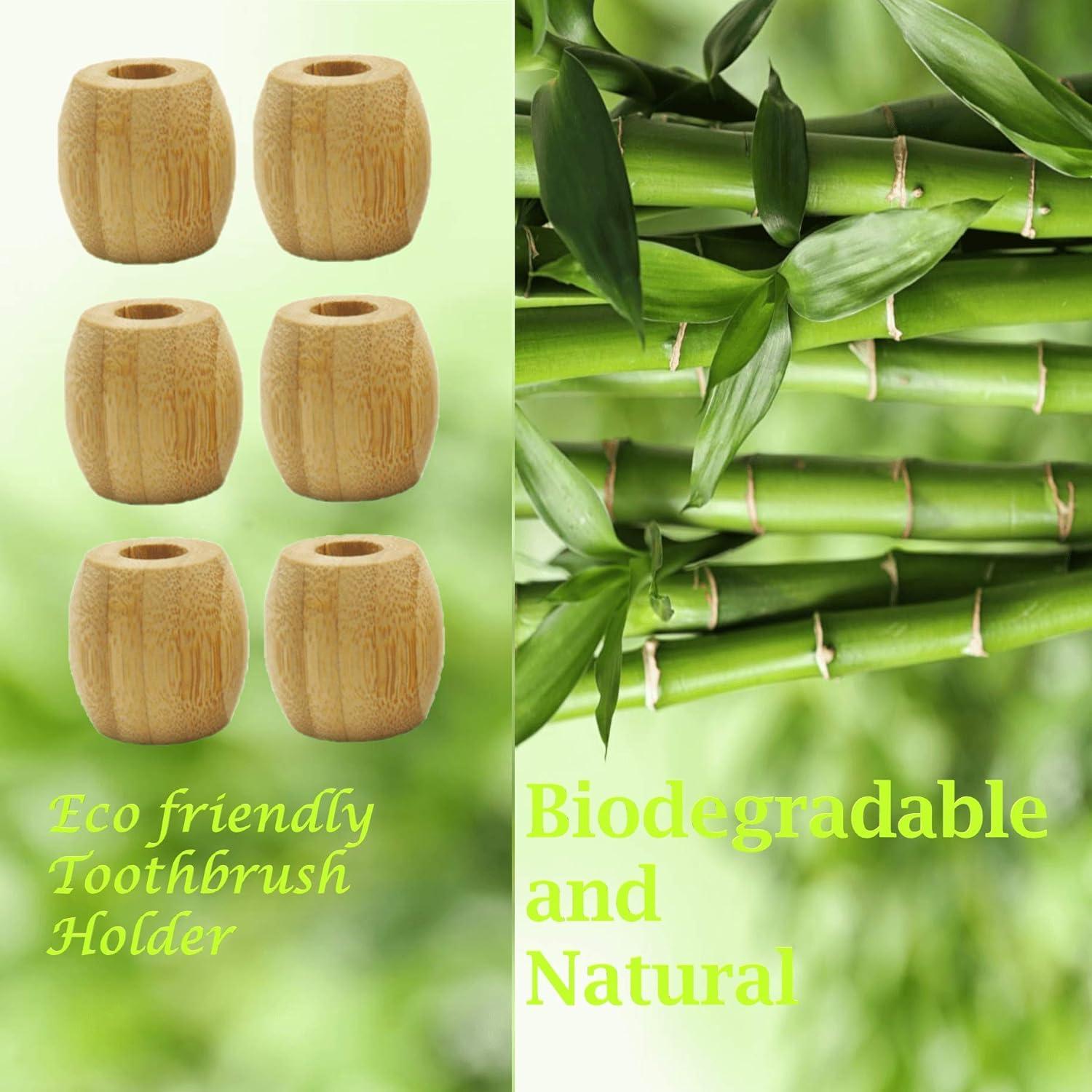 Pack of 12 Bamboo Toothbrush Holders - Biodegradable and Eco-Friendly ...