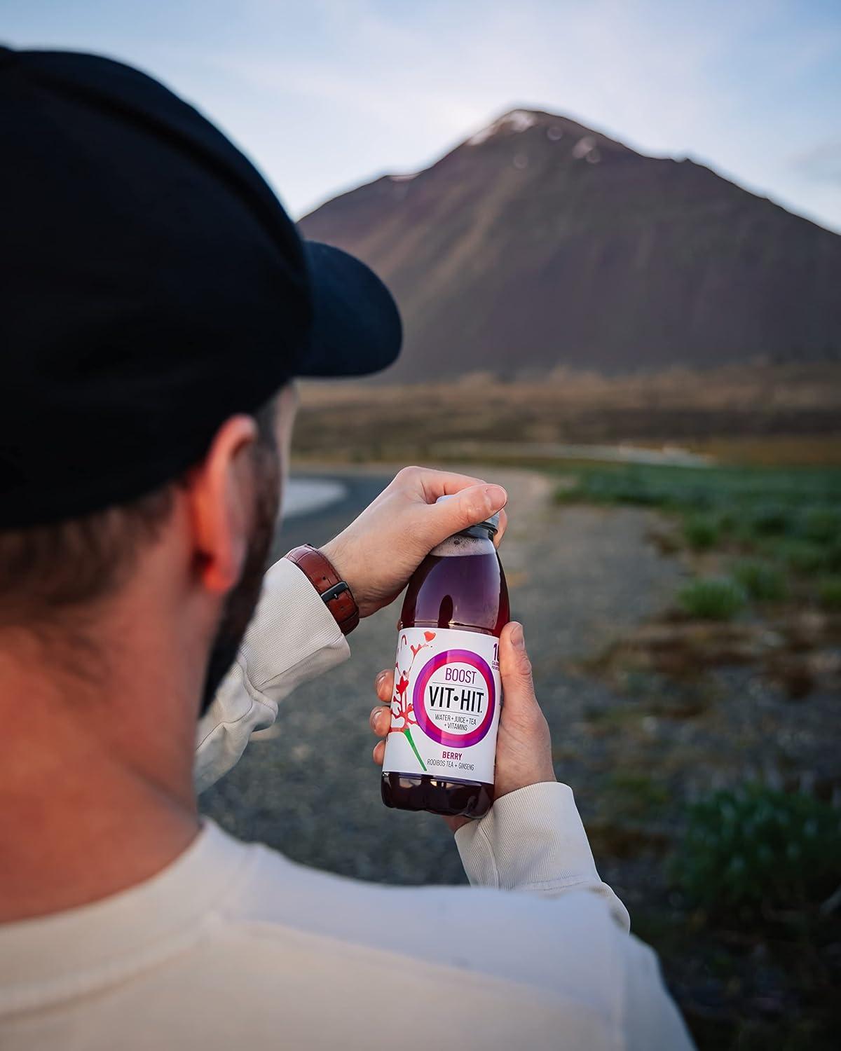 VIT HIT Boost Berry Ginseng Rooibos Tea - 12 x 500ml Bottles | Low ...