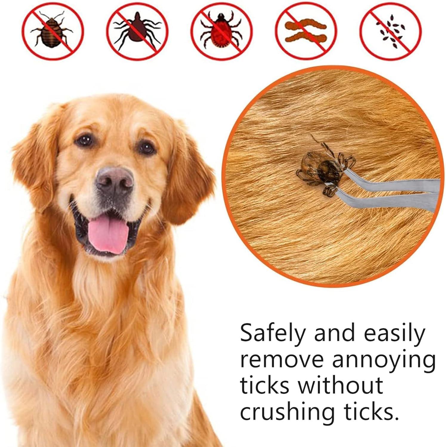iJiZuo 2-in-1 Professional Tick Tweezers and Tick Hooks Reliable ...