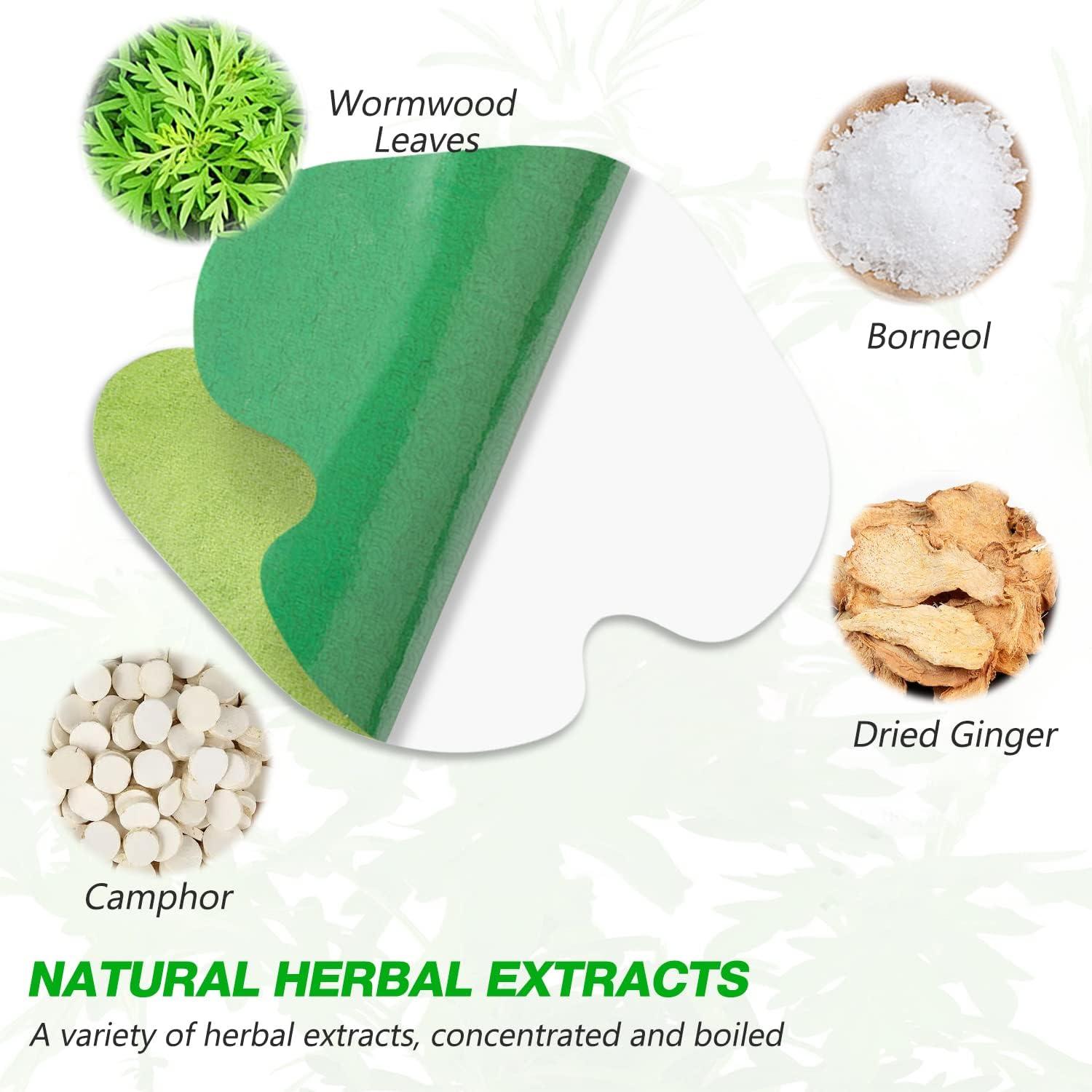 Flexiknee Natural Herbal Knee Pain Patch for Joint Relief - 2 Bags/24 Pcs