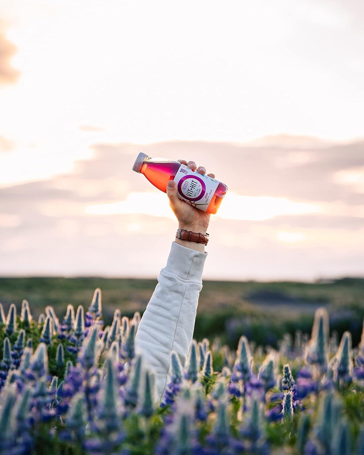 VIT HIT Boost Berry Ginseng Rooibos Tea - 12 x 500ml Bottles | Low ...