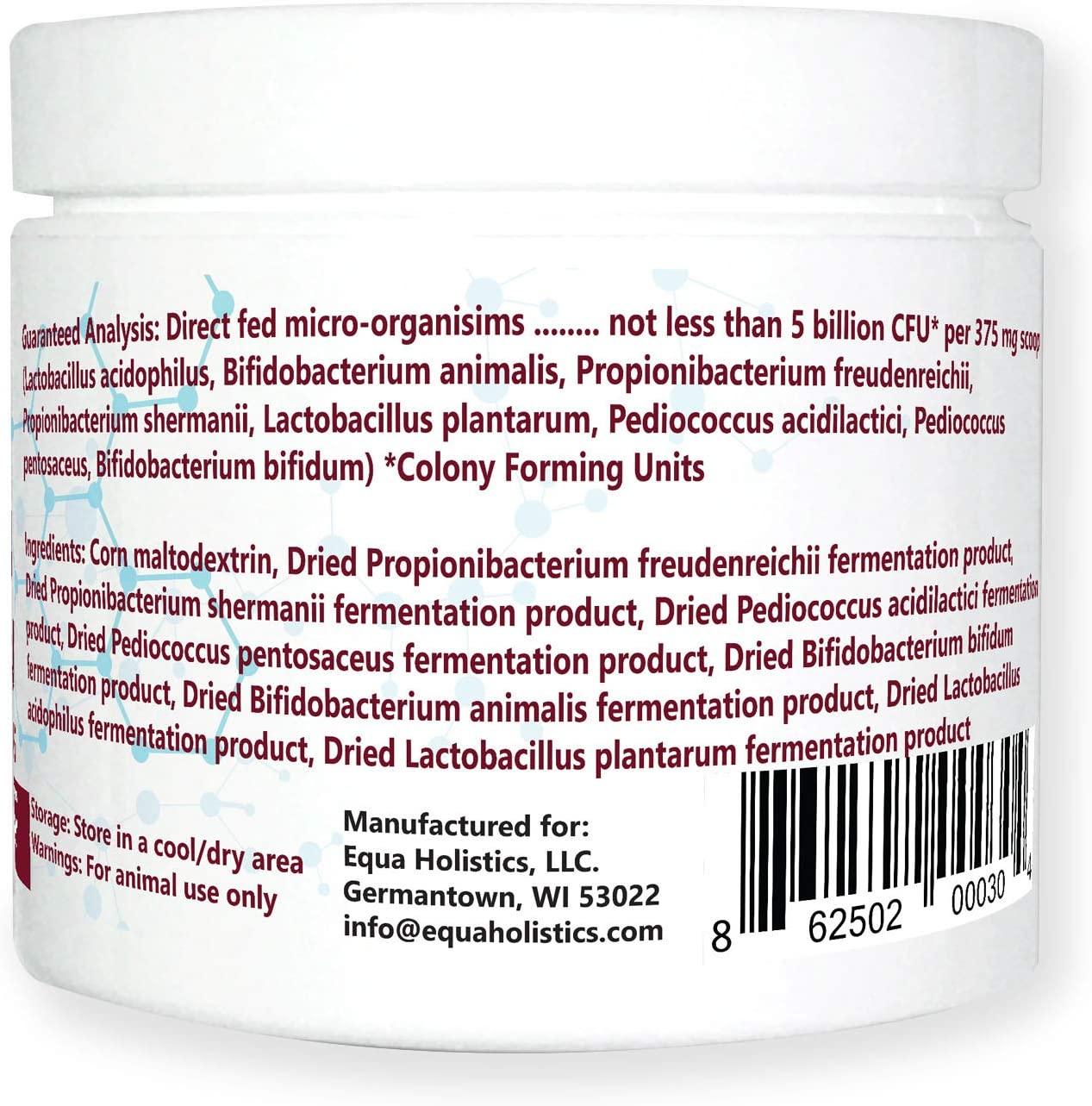 Avian Probiotics for Parrots | All-Natural Digestive System Support ...