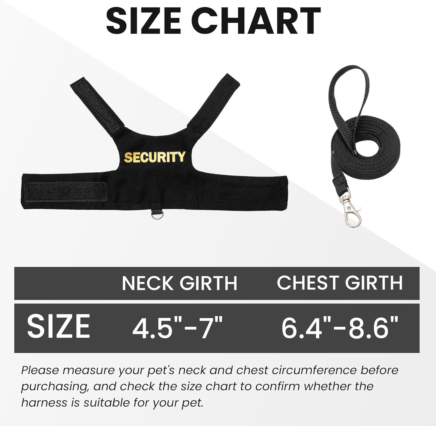 cool walking accessories