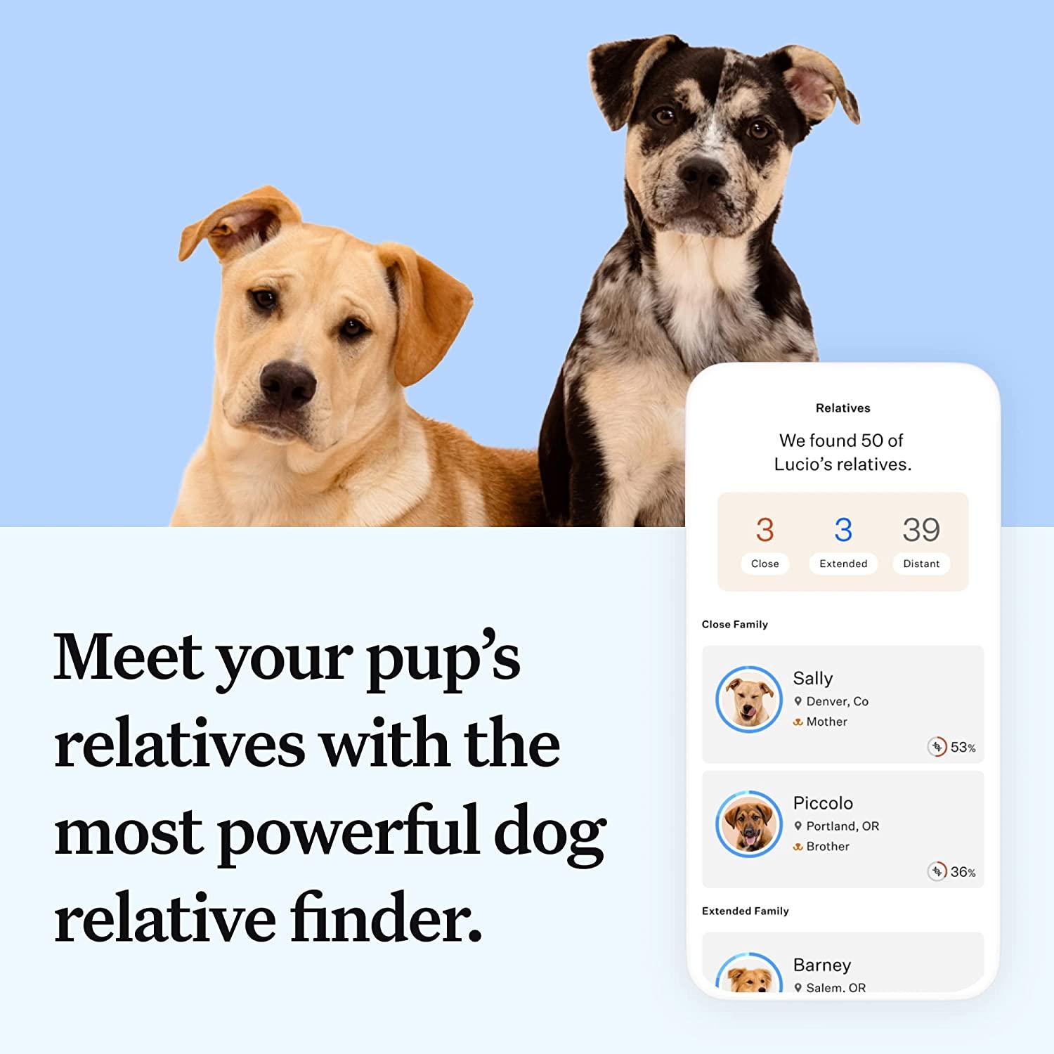 Wisdom Panel Essential Dog DNA Test Kit: Accurate Breed ID, Ancestry ...