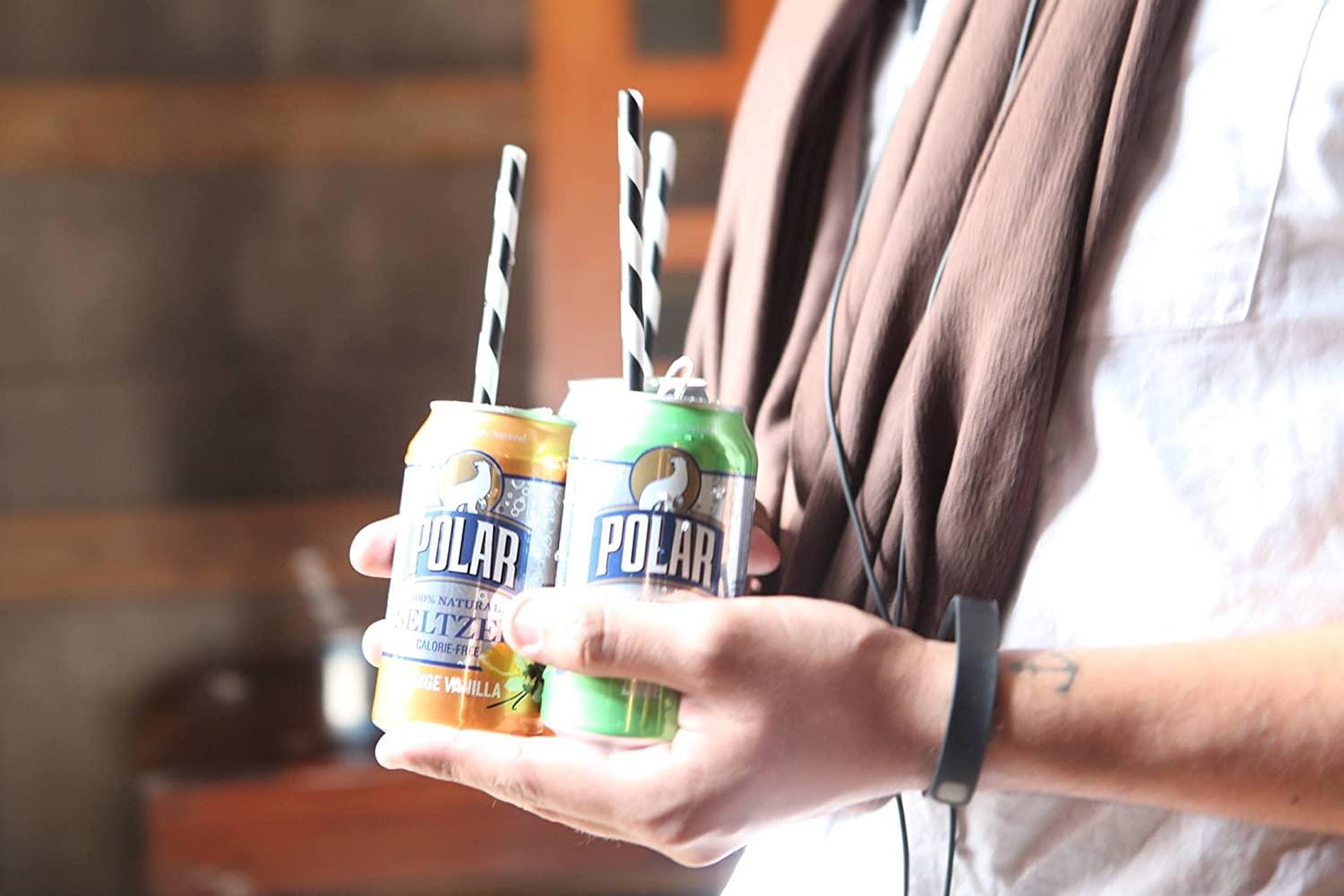 Polar Beverages All Flavor Variety Pack | 15 Pack of 12 Fl Oz Cans ...