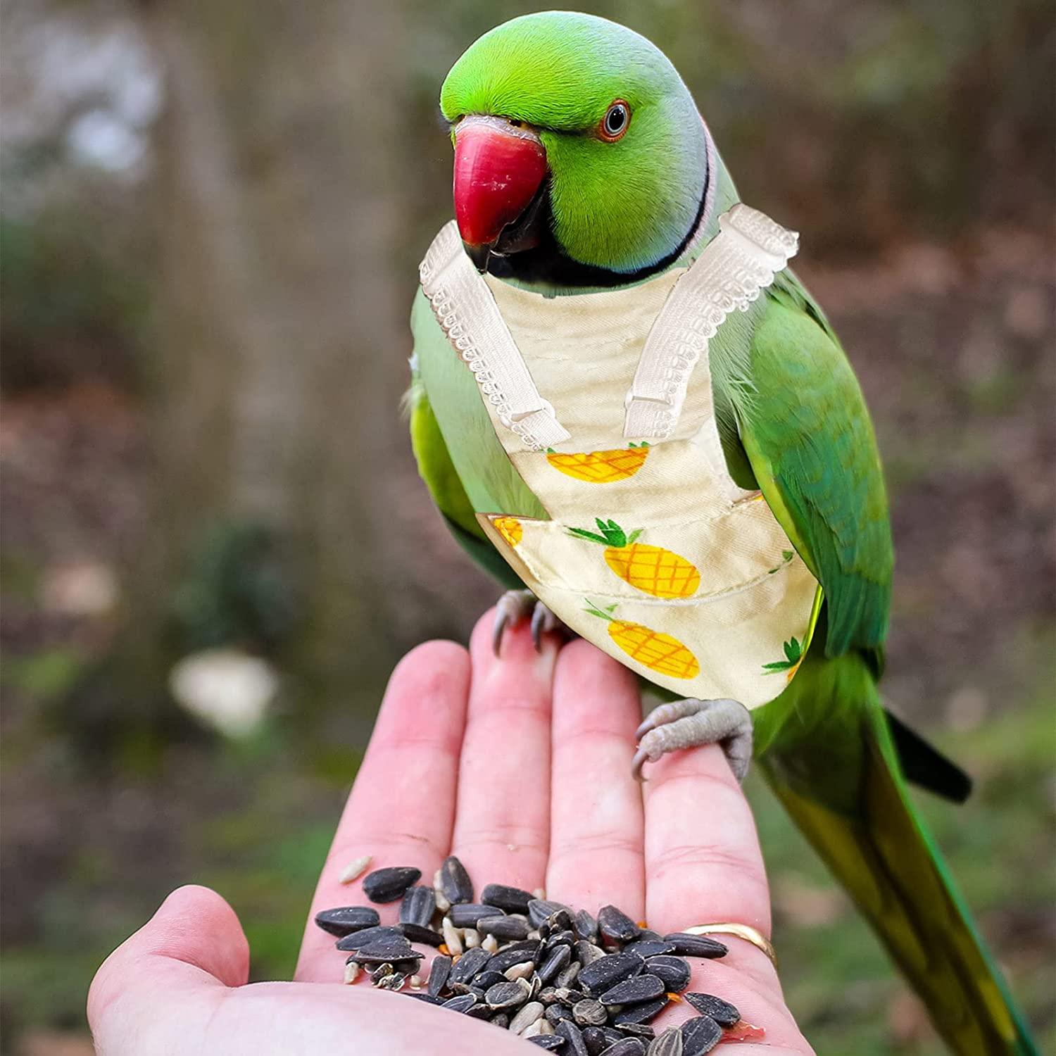 Pet Bird Diapers Flight Set with Green Leash | Washable Parrot Nappy ...
