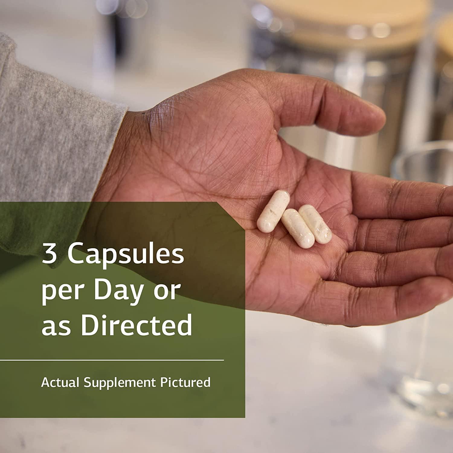 Standard Process ProSynbiotic - Whole Food Bowel & Immune Support 90 ...