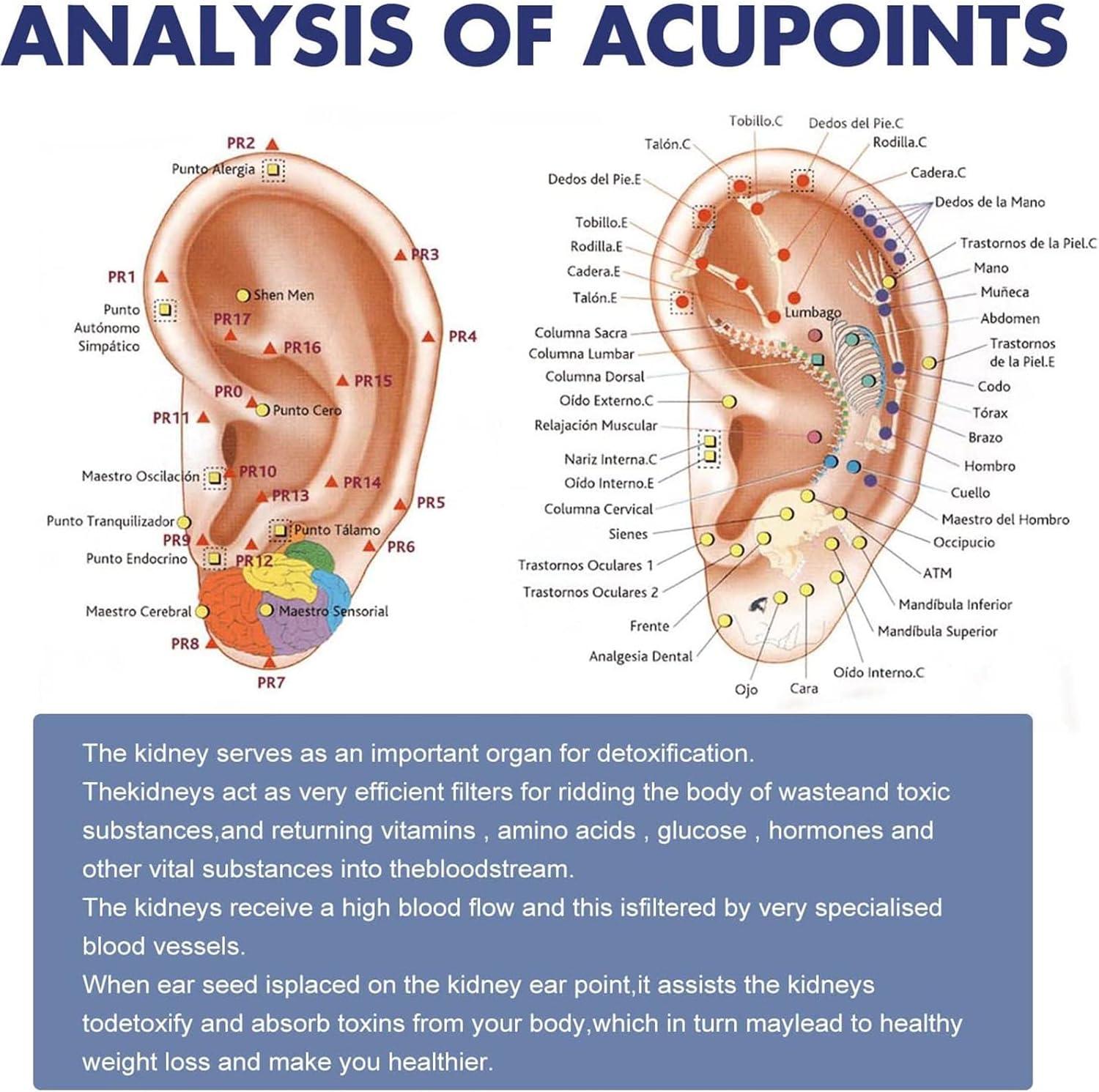 Buy Ear Seed Acupuncture Sticker Set | Multi-State Acupressure Tools ...