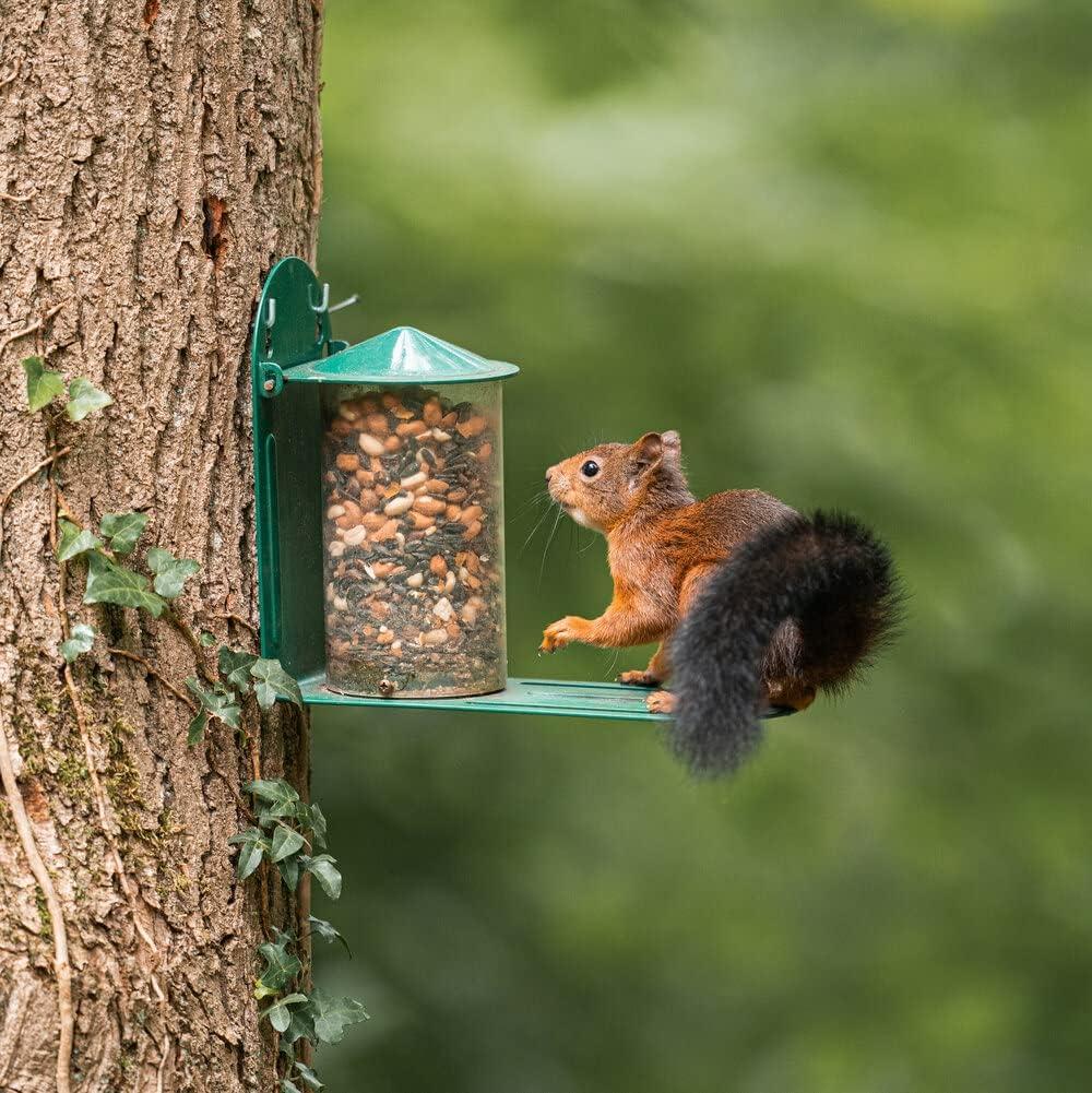 Green Metal Wild Squirrel Feeder - Garden squirrel feeding for wildlife ...