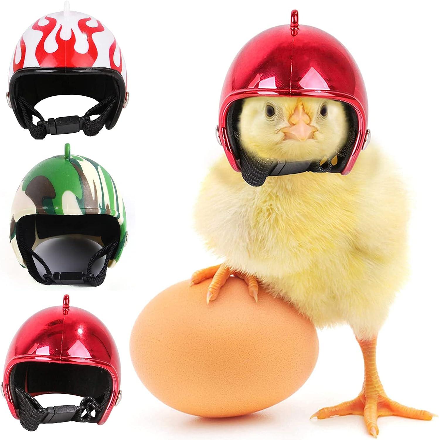 Chicken Helmet Headgear - 3-Piece Plastic Pet Protection Helmets for ...