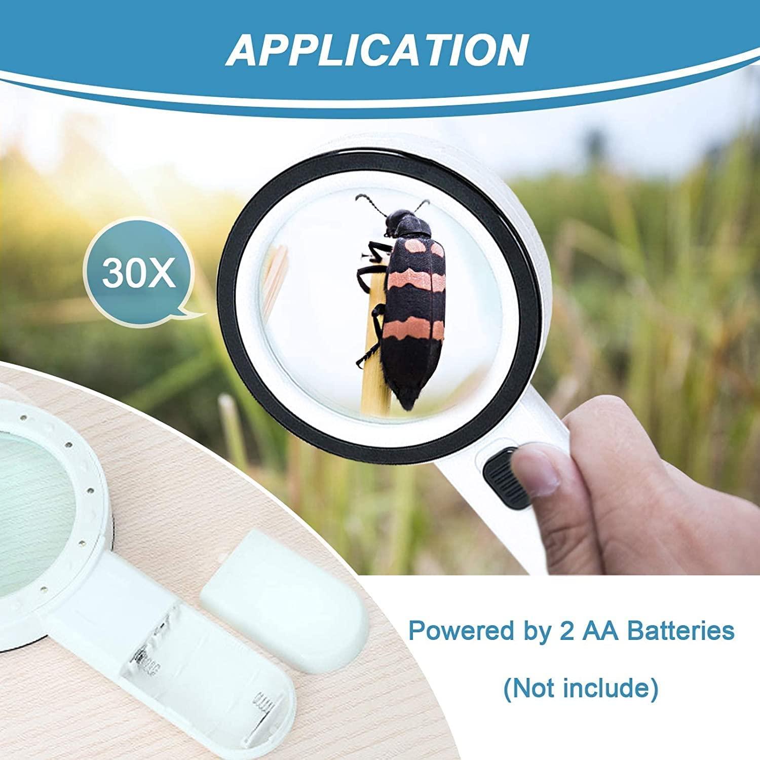 30X Handheld Illuminated Magnifying Glass with 12 LED Lights - Ideal ...