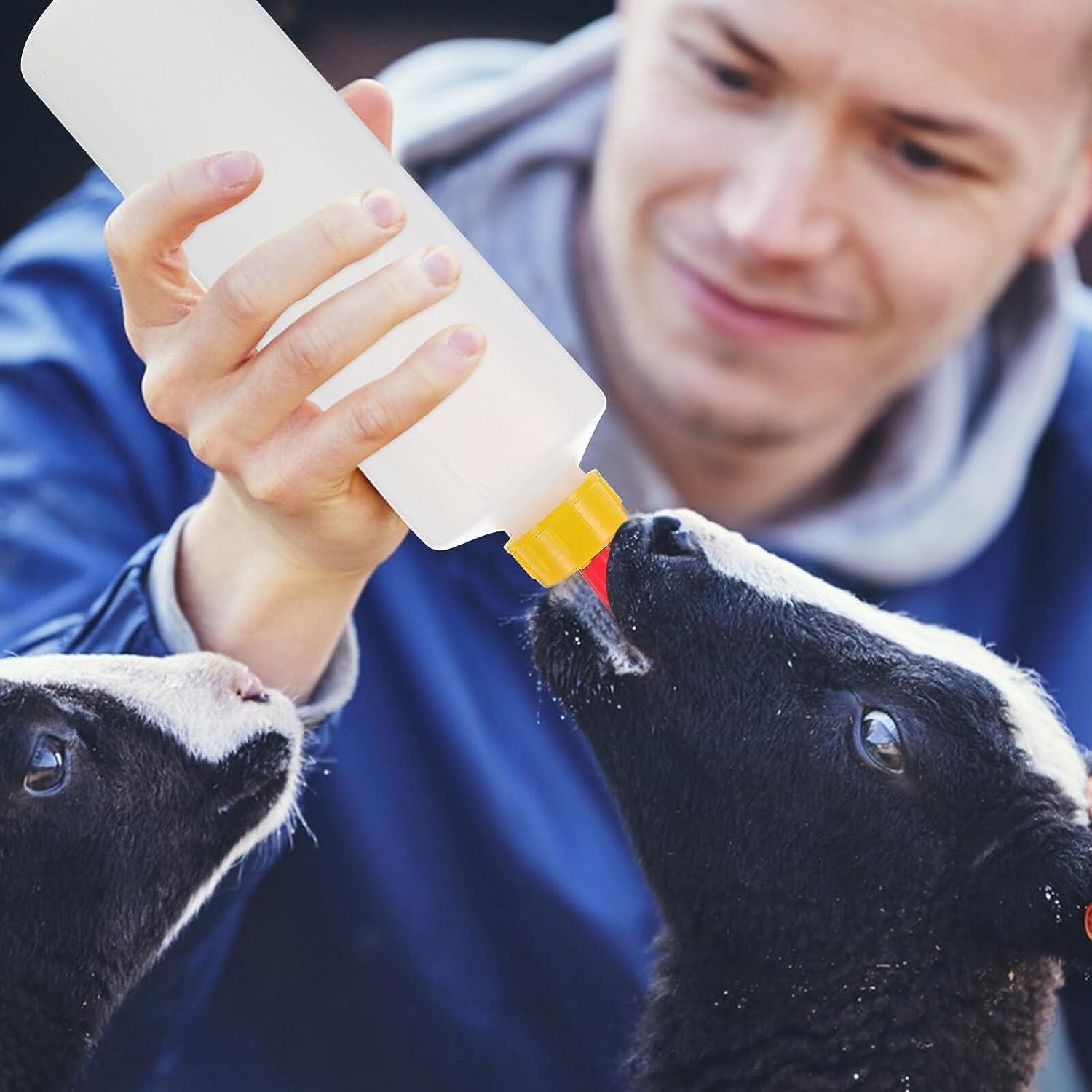 Lamb Feeding Bottle Set - Livestock Drink Jug for Baby Goat, Calf - Pet ...