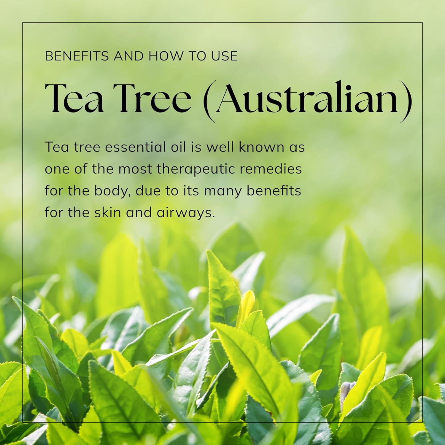 Nikura Pure Australian Tea Tree Essential Oil for Skin Nail Fungus Face ...