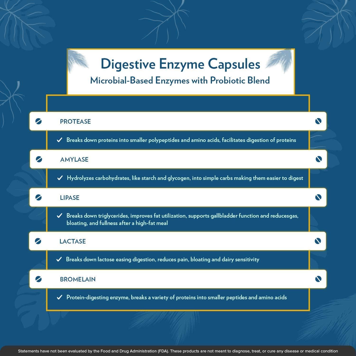 Terra Origin Digestive Enzymes - 60 Capsules for Optimal Digestion ...