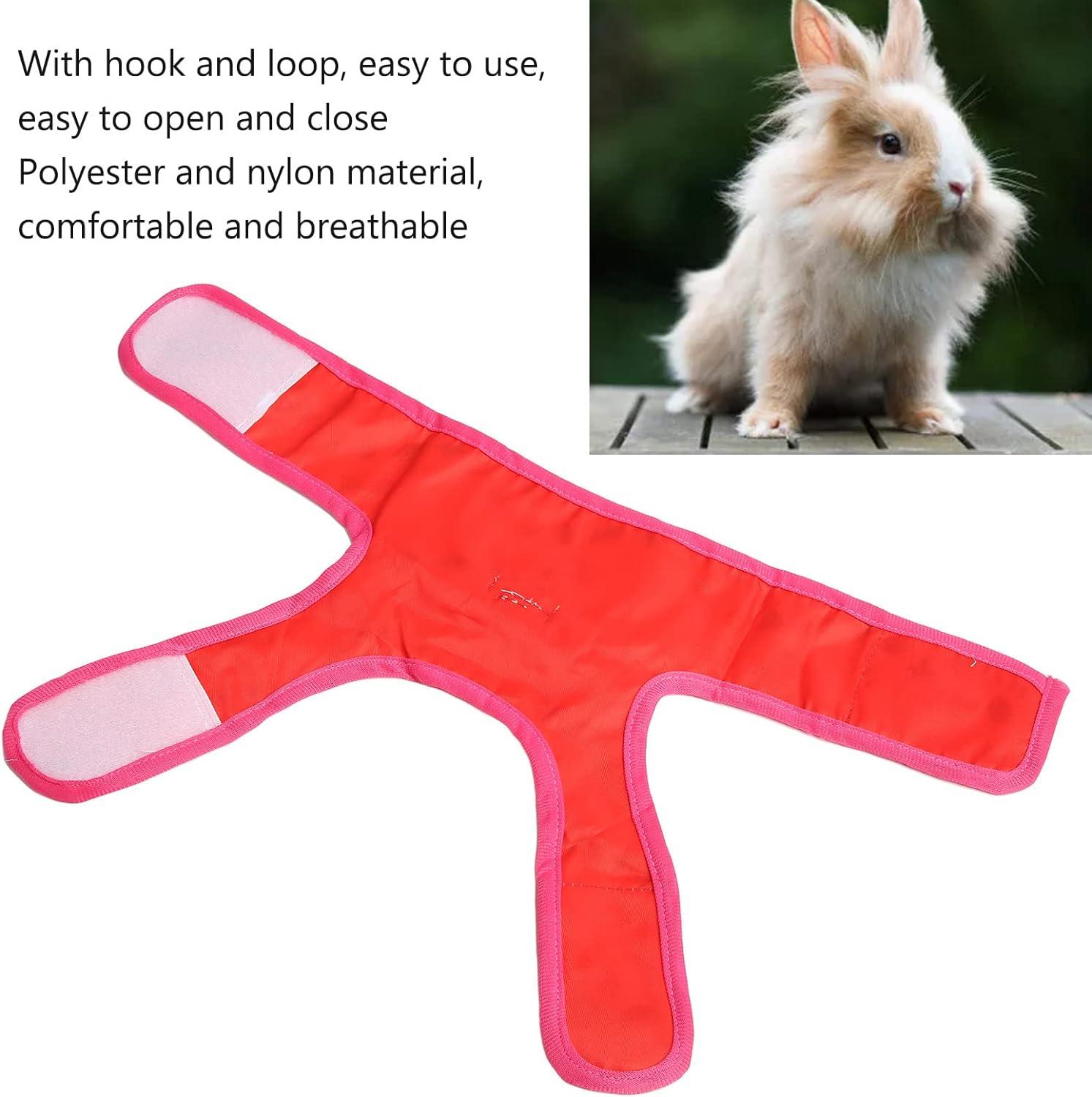 Rabbit Harness Leash Soft Harness with Lead for Rabbits Guinea Pigs ...
