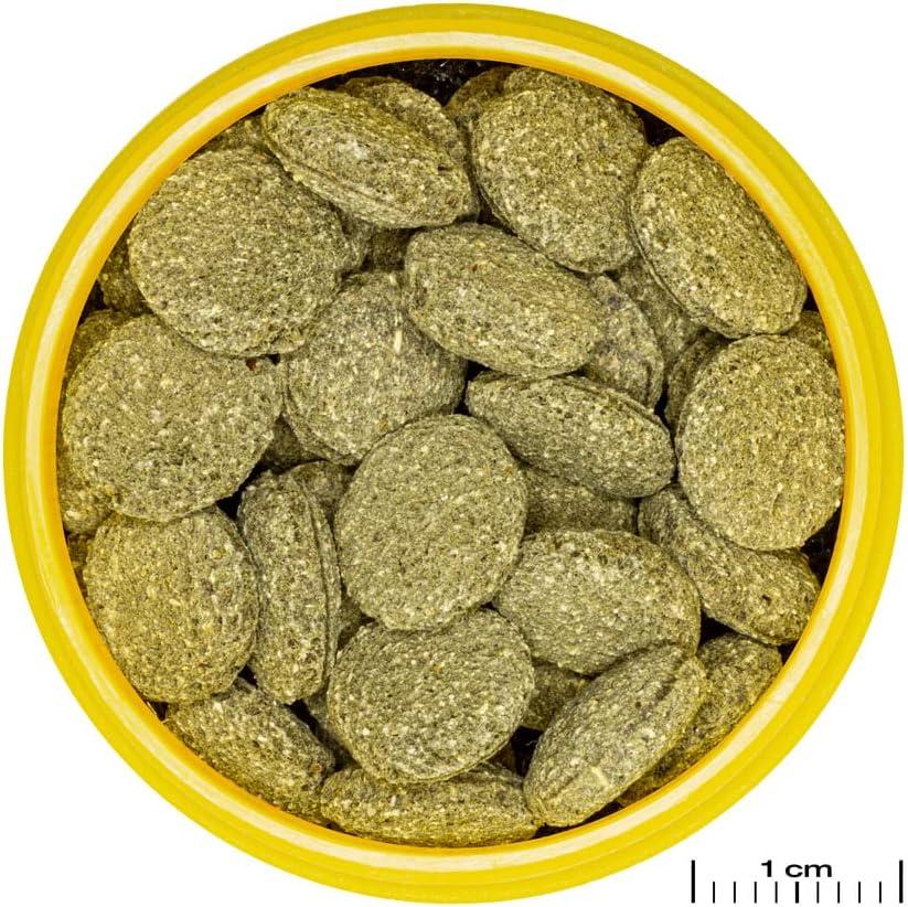 JBL Pronovo Pleco Wafer - Premium Fish Feed for Suction Catfish (1-20 ...