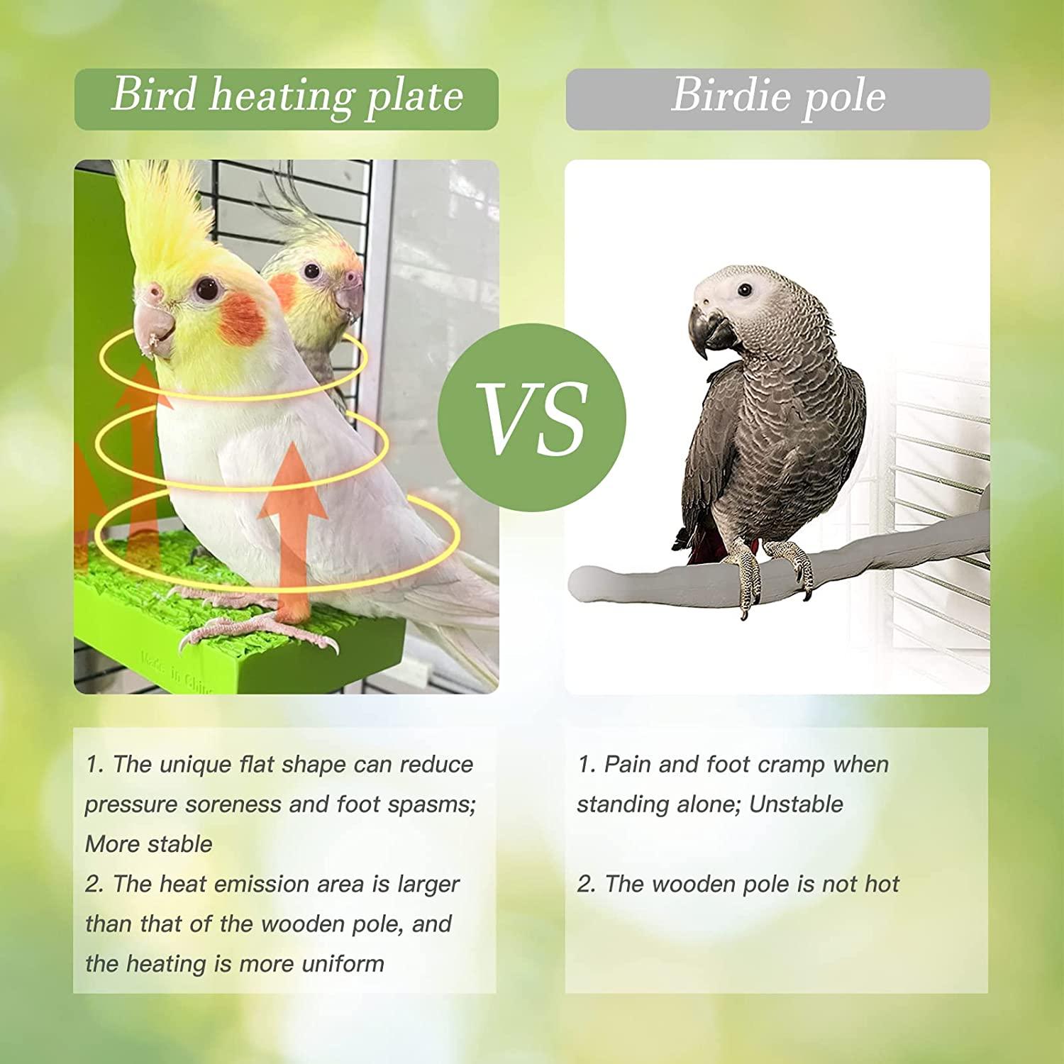 GIFANK Bird Heater for Cage Bird Perch Stand Warmer Snuggle Up for ...