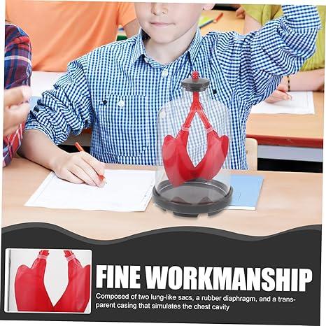 Lung Breathing Model Educational Science Toys Preschool Teaching aid ...