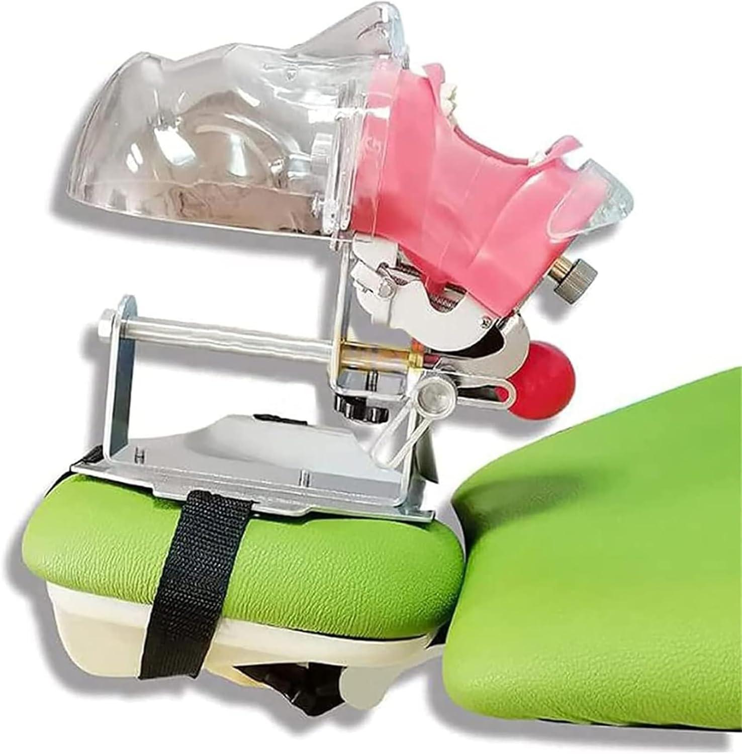 Buy Stainless Steel Dental Model & Harz Dental Phantom Head Simulator ...