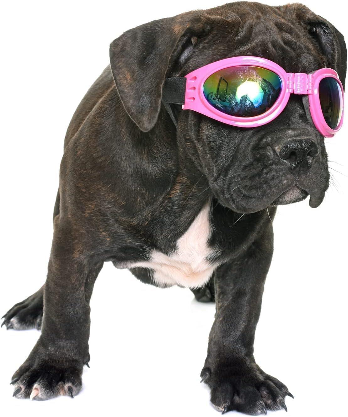 French Bulldog Dog Sun Glasses Pink Polarized UV Padded Adjustable Pet ...
