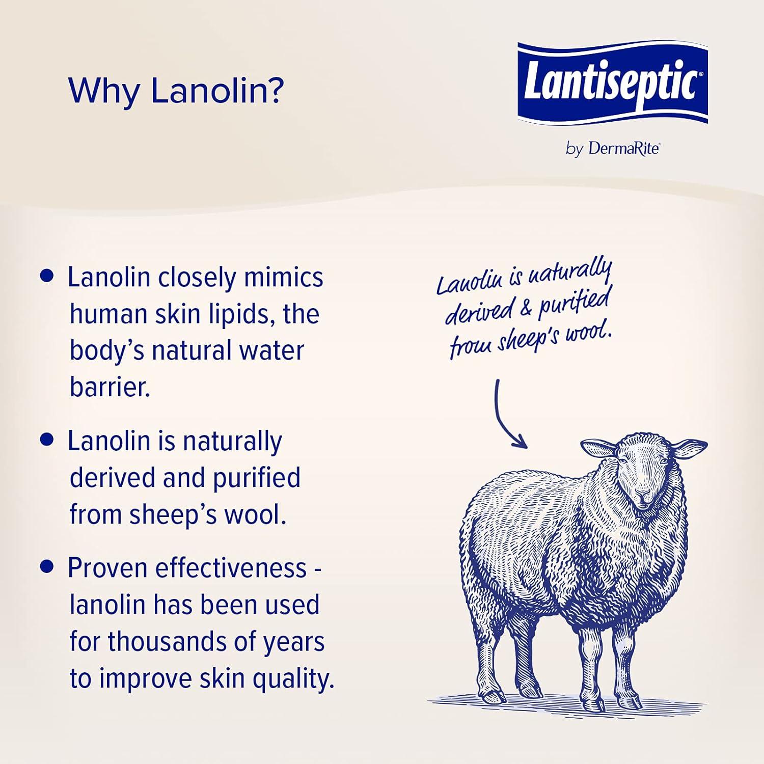 Lantiseptic Moisture Shield Original Skin Protectant 50% Lanolin ...