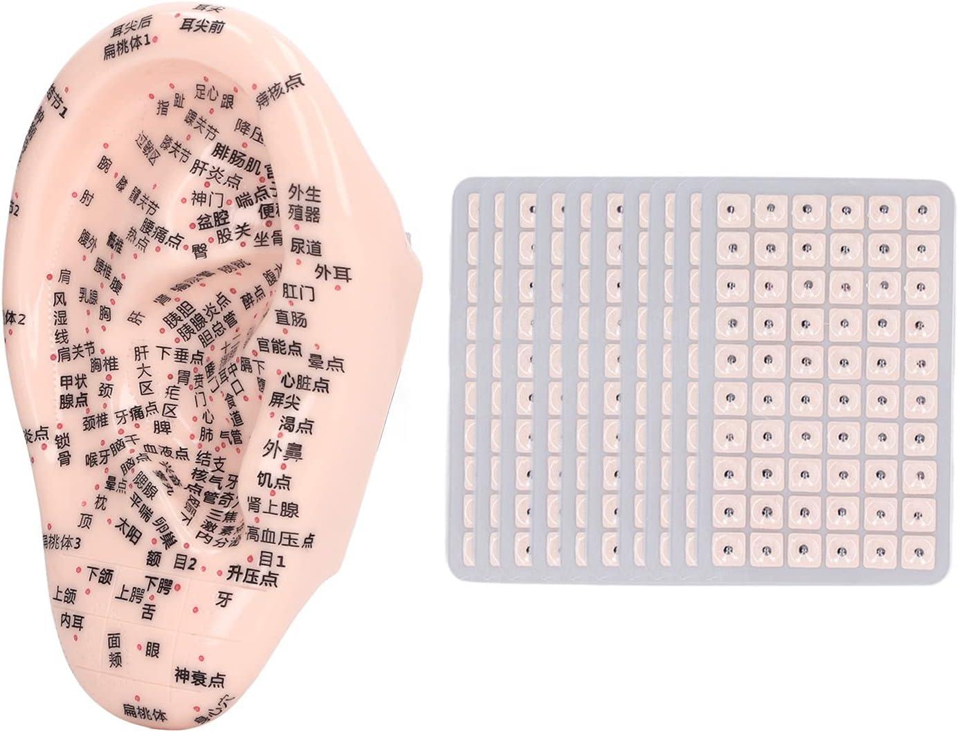 17 cm Ear Acupuncture Model | Auricle Point Silicone Model with ...