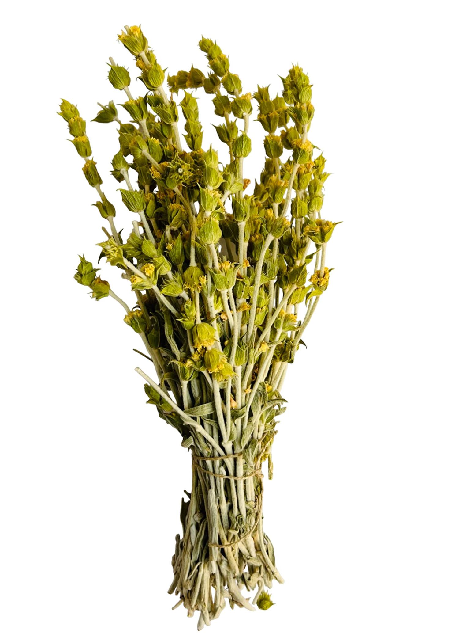 Premium Greek Mountain Tea Sideritis Scardica 220g - 1.95Kg Whole Bunch (460 grams) | Buy Now ...