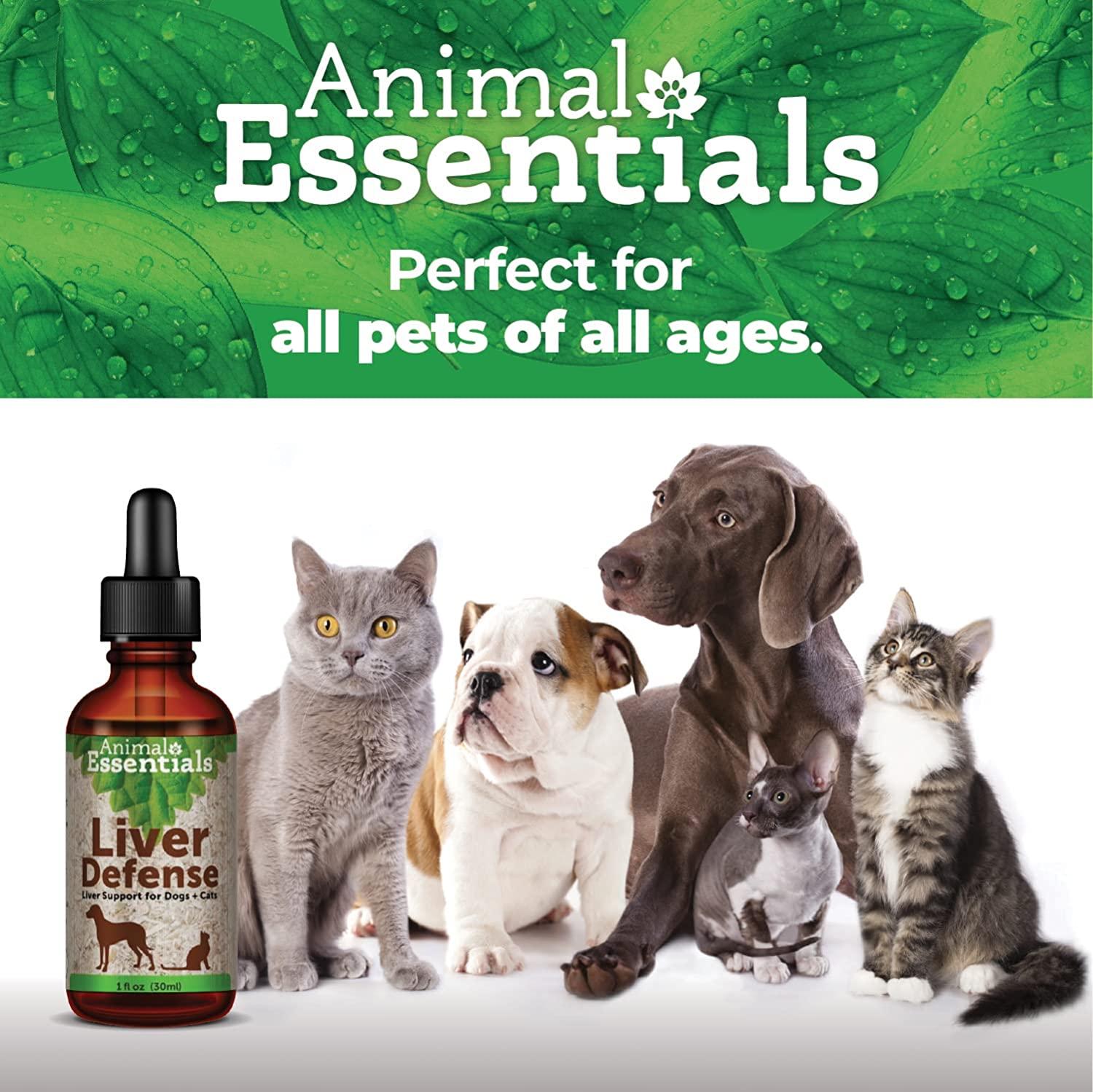 Animal Essentials Pet Supplements for Dog and Cat 1 fl oz (30 ml) - Top Quality Nutrition for ...