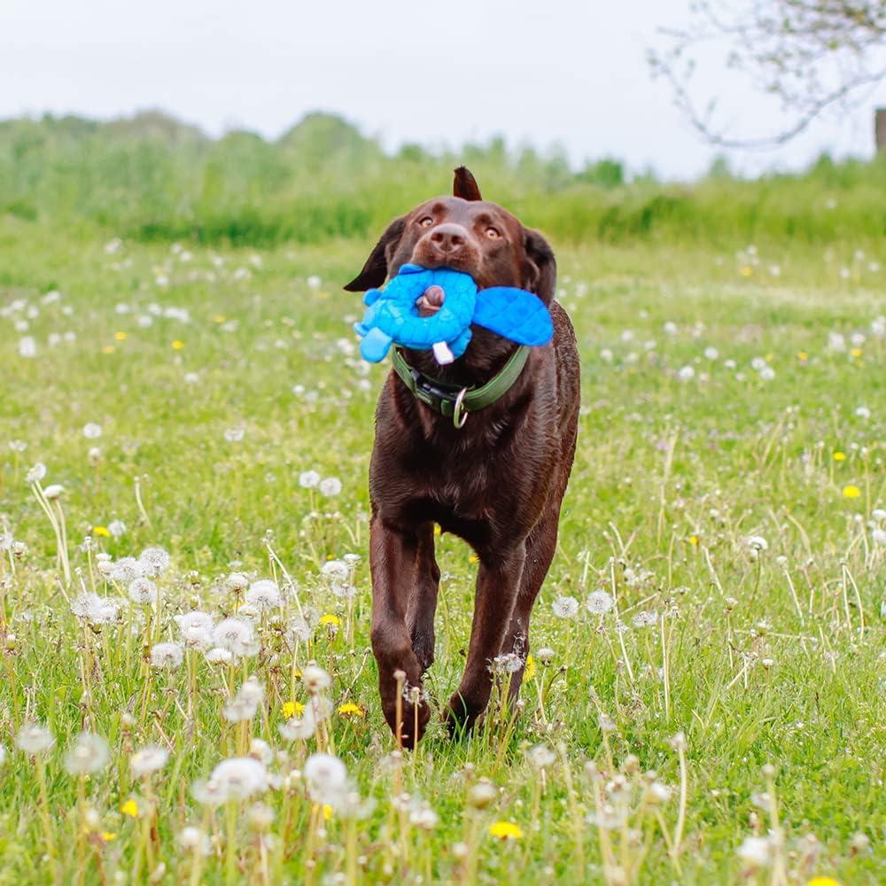 Nobby Floating 61512 Neoprene Beaver - Premium Quality Water Toy | Buy ...