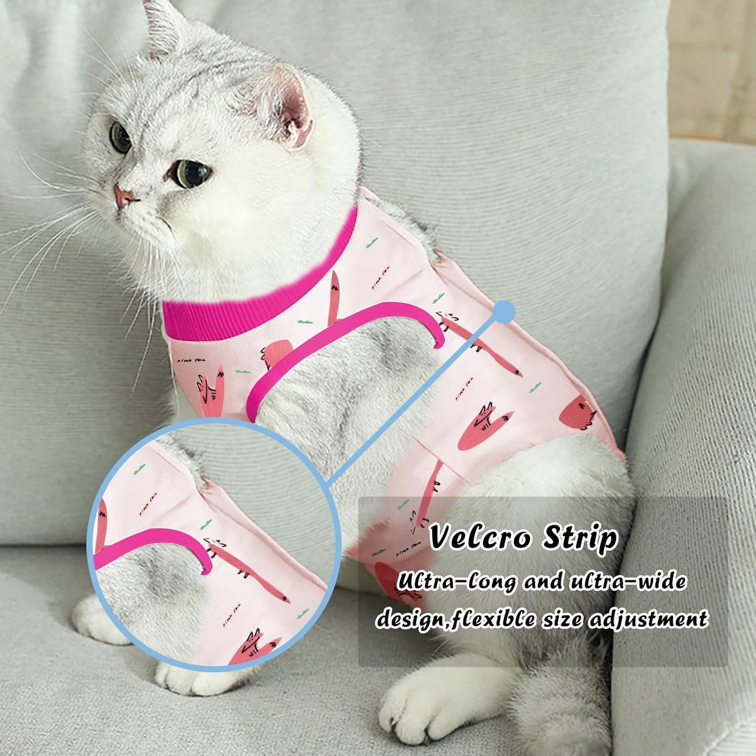 Clrybo Katzenbody - Professional Recovery Suit for Cats & Dogs | Post ...
