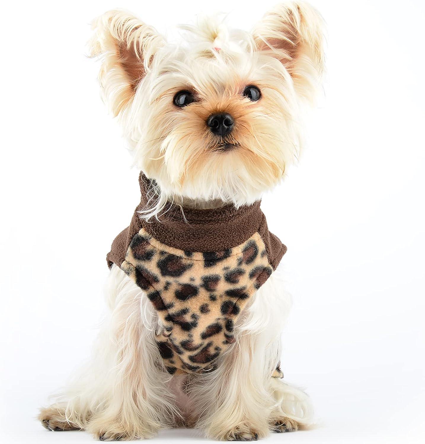 Yorkshire Terrier Clothes