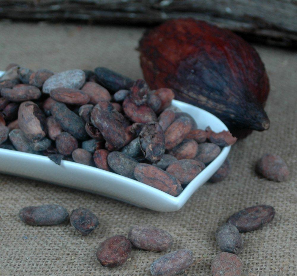 cocoa beans Ecuador untreated 250g | Buy Now with Express International ...