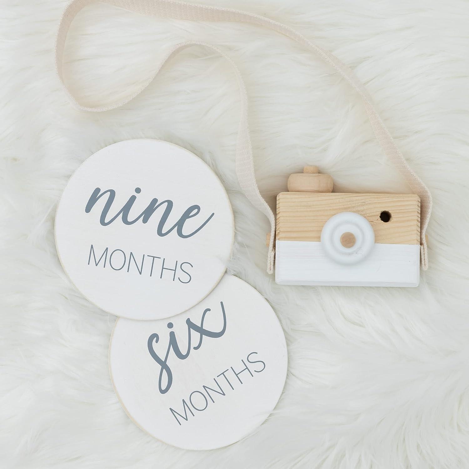 Natural Baby Milestone Discs - White Stain Wood Milestone Disc Set with ...