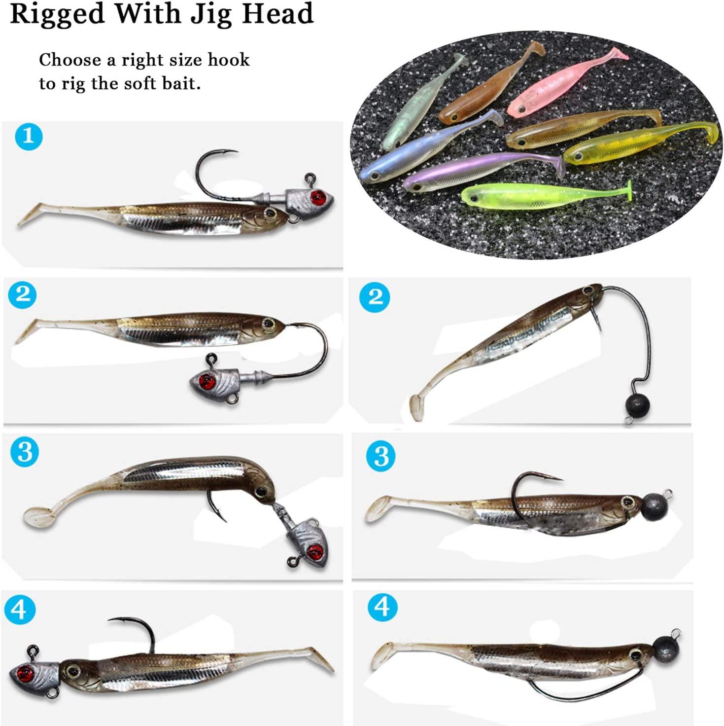 Shad Tail Jig