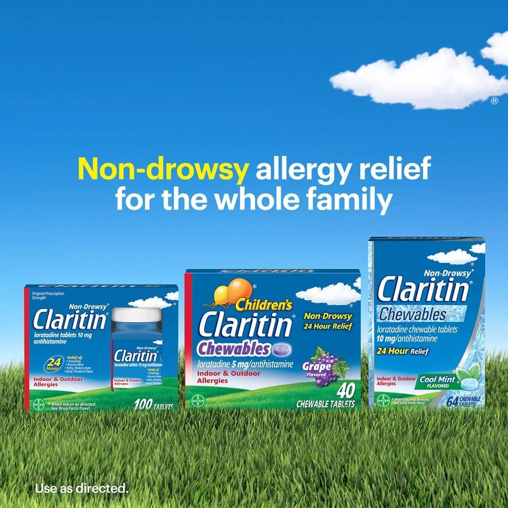 Claritin 24 Hour Chewable Cool Mint Flavored Tablets - 24 Count Pack ...