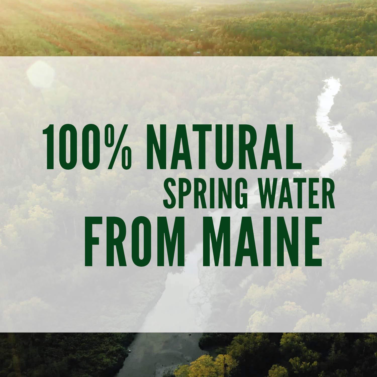 Poland Spring 100% Natural Spring Water - 101.4 Oz Plastic Jug ...