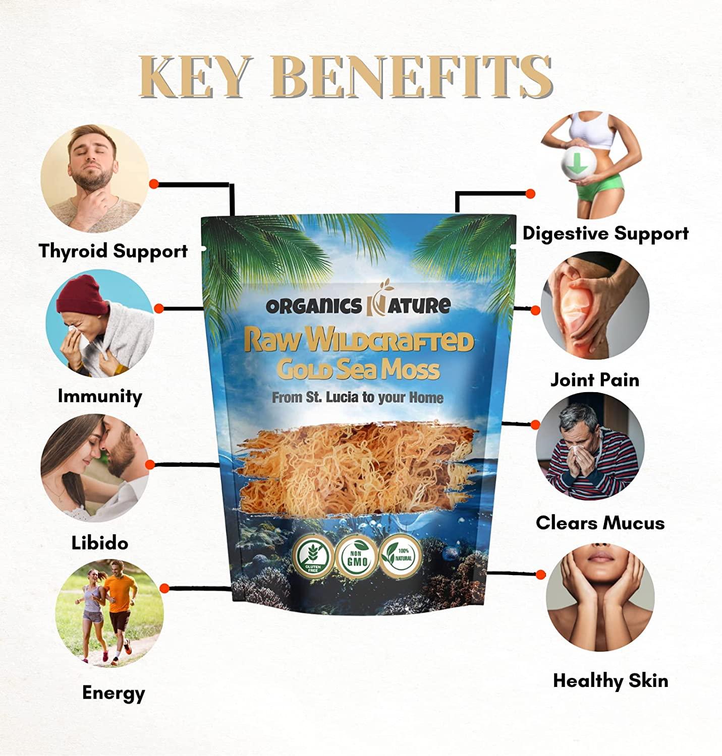 Organics Nature Supplements Organic Irish Sea Moss - Wildcrafted, Non ...