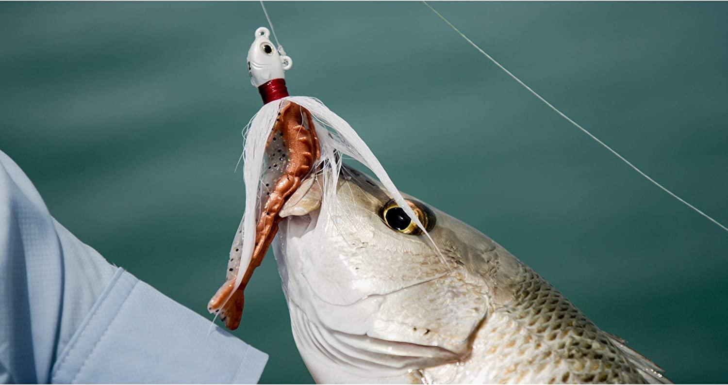 Gulp! Saltwater Shrimp in New Penny 3 - Premium Fishing Bait | Buy Now ...