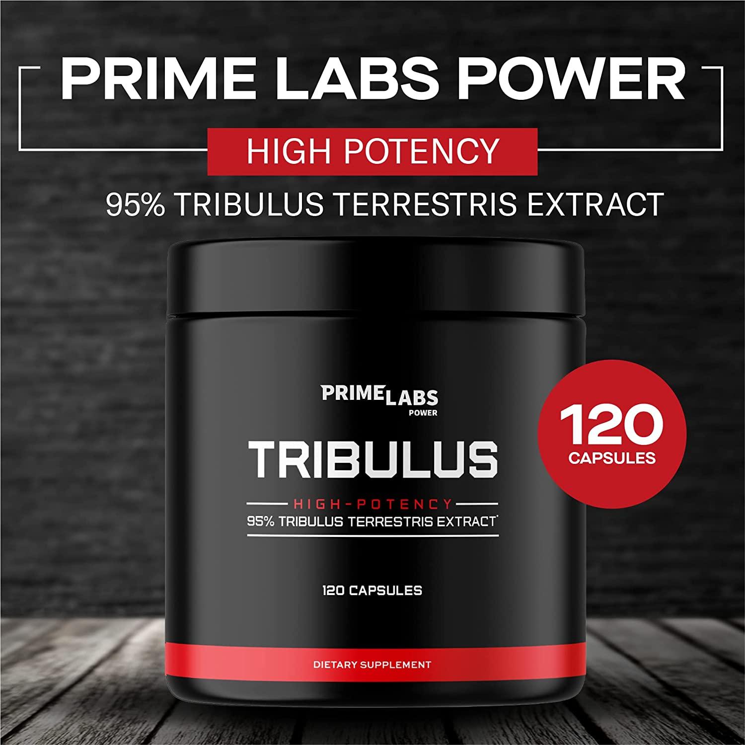 High Potency Tribulus Terrestris Extract for Men & Women - 95% Saponins ...