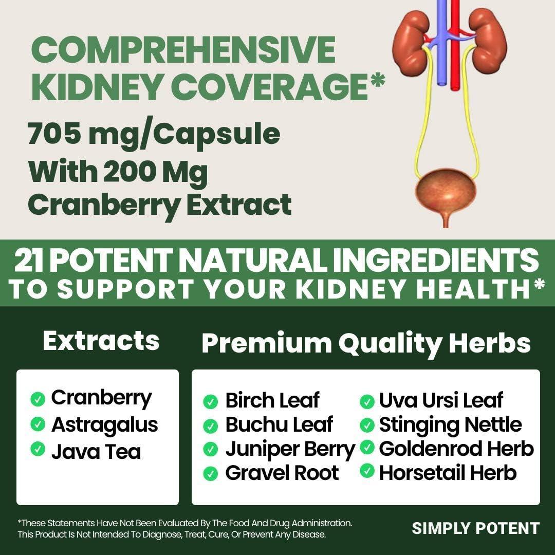 Kidney Support Supplement - Premium Cleanse & Repair Formula - 705mg ...